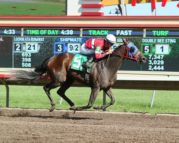 Hot Shot Kid Takes Minnesota Derby, Double Bee Sting Wins Minnesota ...