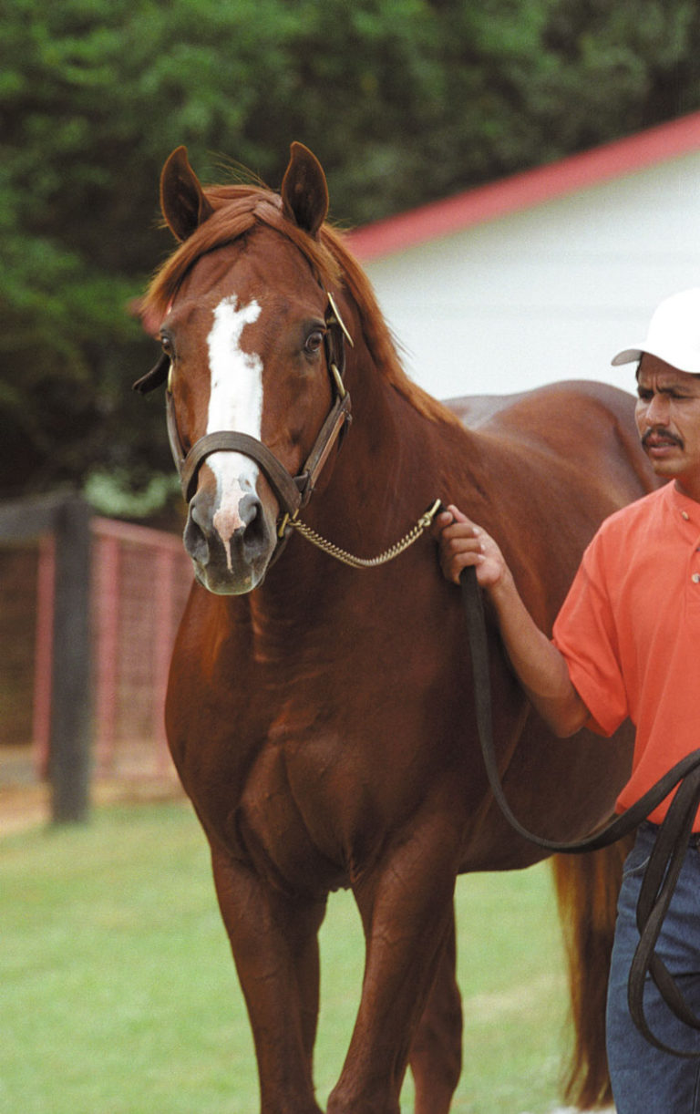 Popular Louisiana Stallion Ide Pensioned to Old Friends – American ...