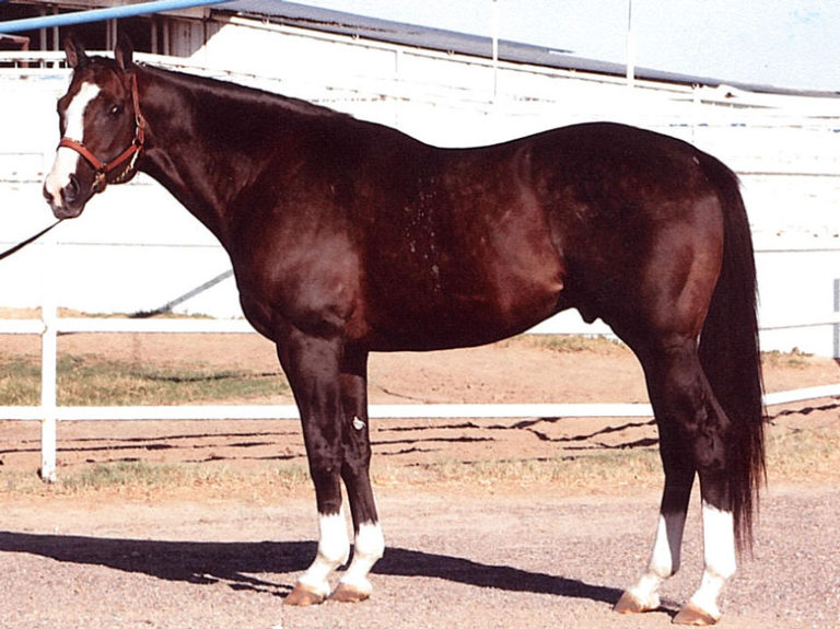 Country Candy, Imma Wild Bling Take Texas Stallion Stakes at Retama ...