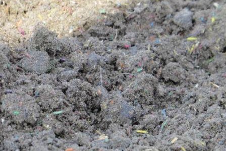 Saratoga Track Surface and Types of Track Surface – American Racehorse