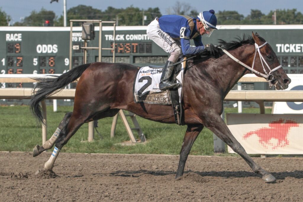 Someday Jones to Stand at Kirton Farms in Oklahoma – American Racehorse
