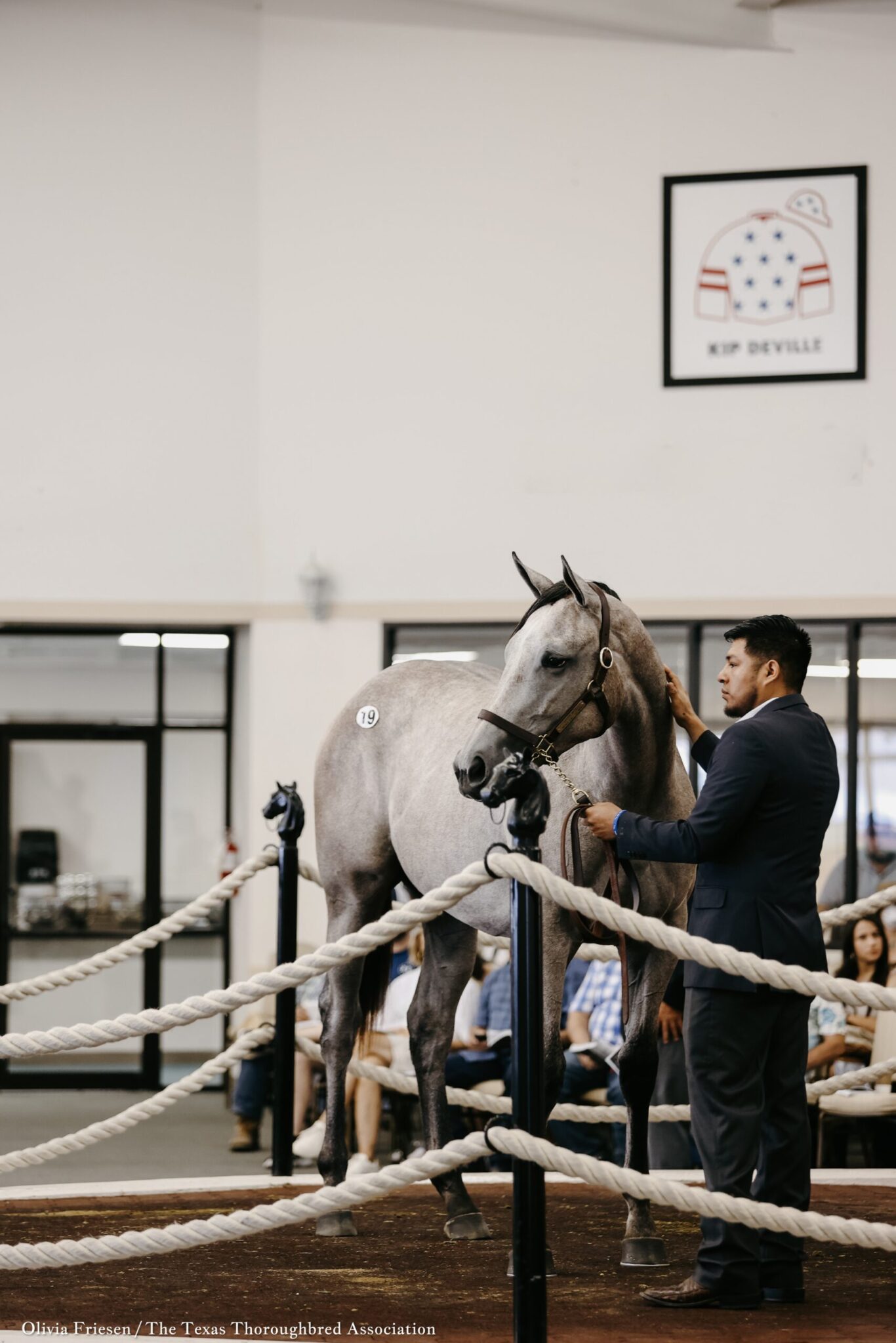 Too Much Bling Filly Tops Record-Setting Texas Summer Yearling Sale ...